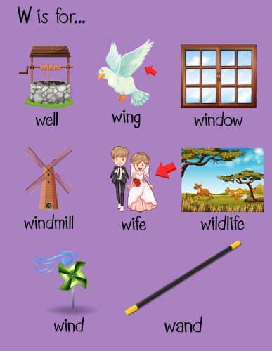 Many words begin with letter w Royalty Free Vector Image