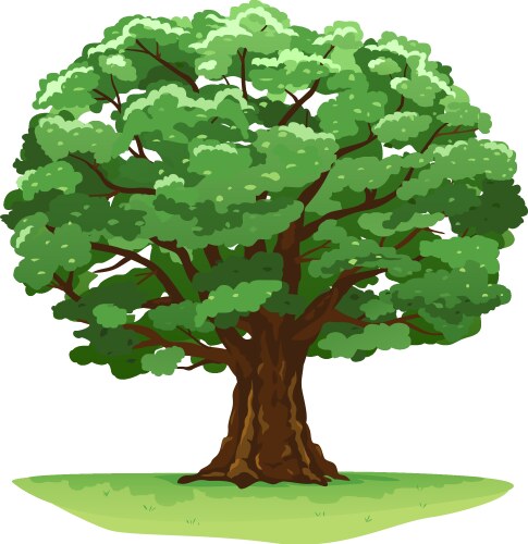 Oak Tree Vector Images (over 59,000)
