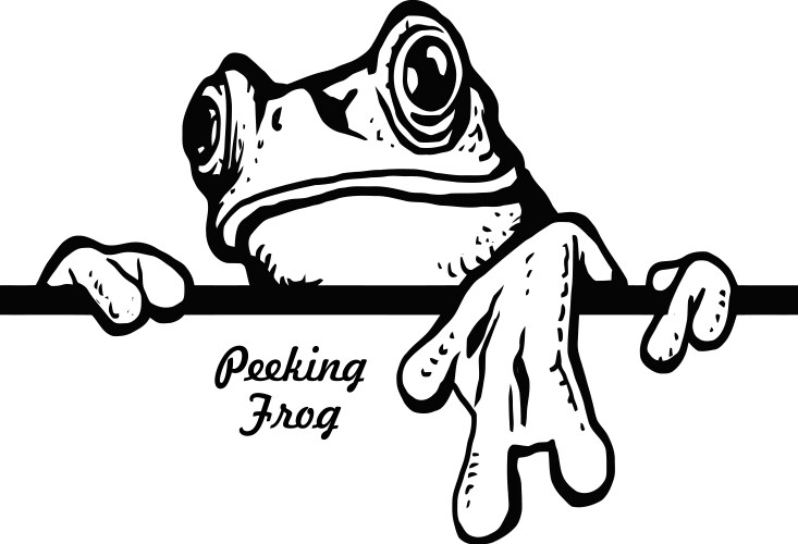 Cartoon frog hands Royalty Free Vector Image - VectorStock