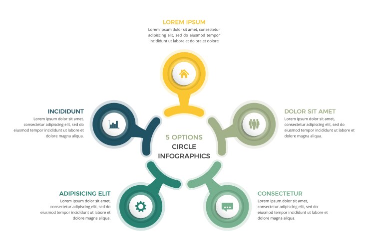 Infographic bulb circle design five template Vector Image