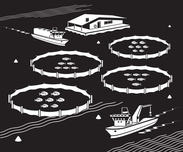 Fish Farming Vector Images (over 8,900)