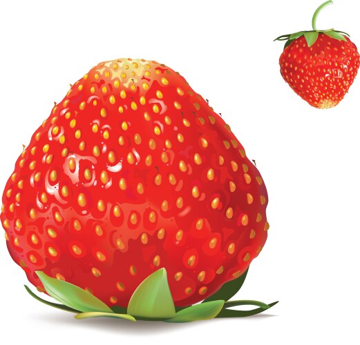 Strawberry Vector Images (over 120,000)