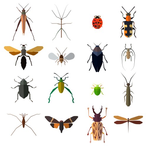 Cartoon insect icon set Royalty Free Vector Image