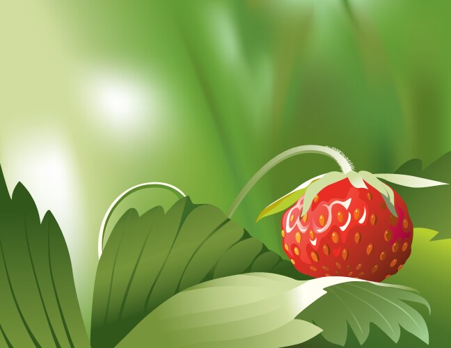 Strawberry Royalty Free Vector Image - VectorStock