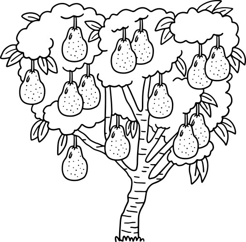 Avocado tree fruit plant coloring page for kids Vector Image