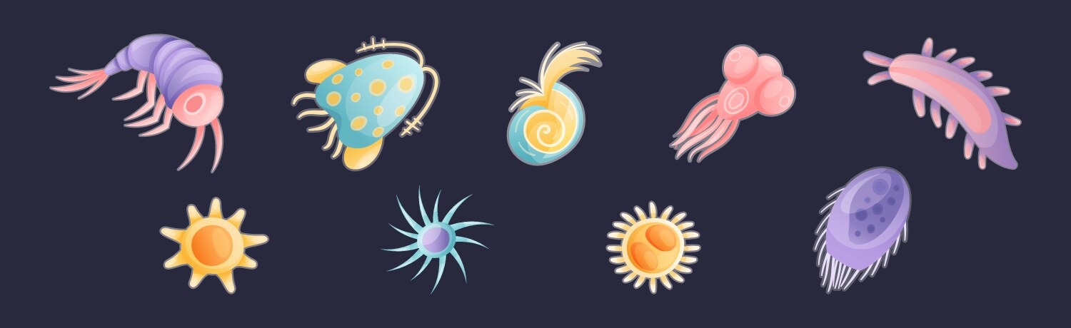 Protozoa Vector Images (over 990)