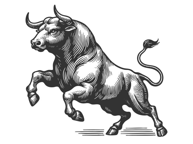 Bull engraving sketch Royalty Free Vector Image