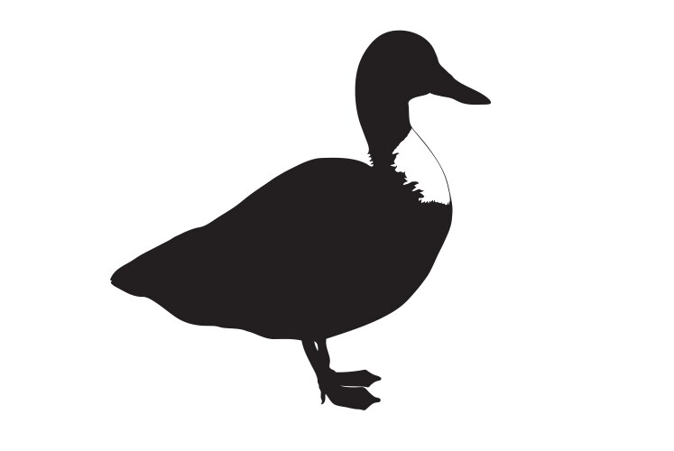 Black and White Duck Vector Images (over 25,000)
