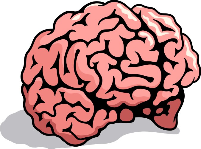 Human brain cartoon isolated Royalty Free Vector Image