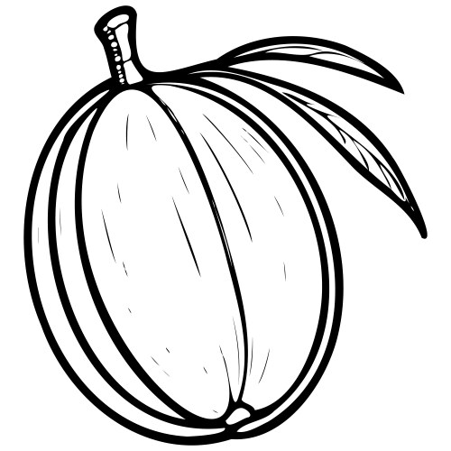 Sapodilla Vector Images (over 470)