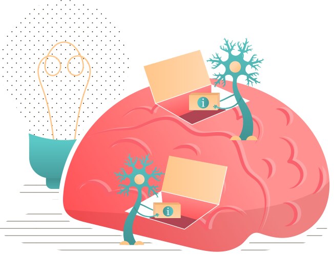 Shining brain Royalty Free Vector Image - VectorStock