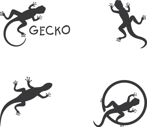 Gecko logo Vector Images & Graphics for Commercial Use | VectorStock