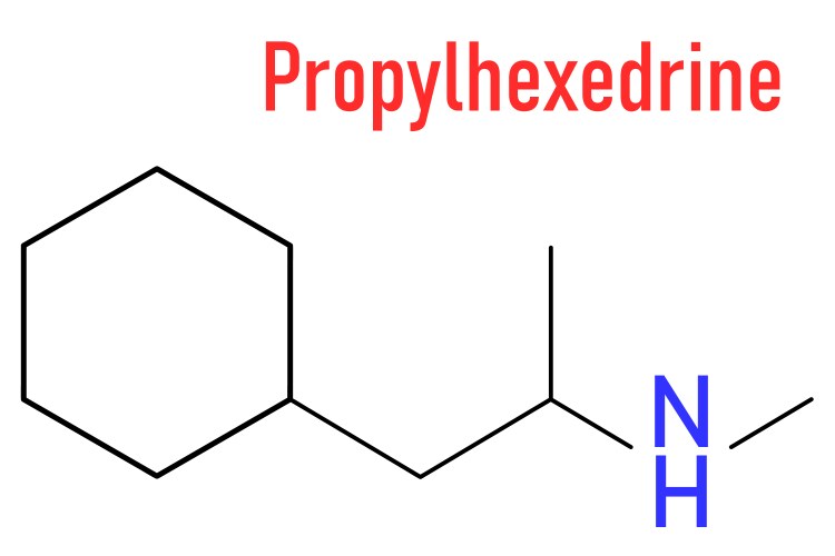 Cholesterol molecule skeletal formula of lipid Vector Image