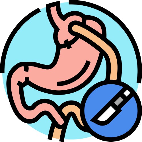 Gastric Vector Images (over 6,900)