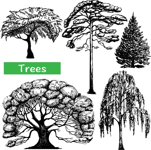 Hand drawn tree symbol Royalty Free Vector Image