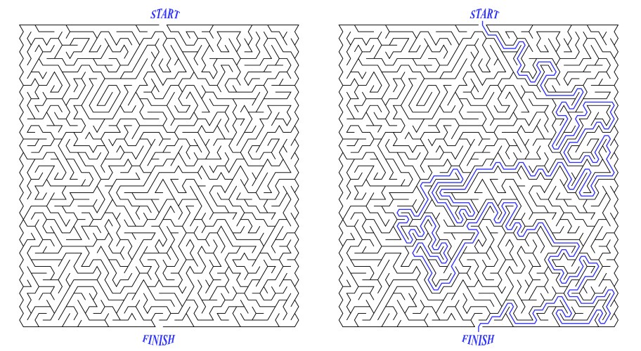 Rectangular labyrinth with entry and exit Vector Image