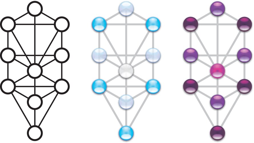 Kabbalah sephiroth tree of life isolated Vector Image