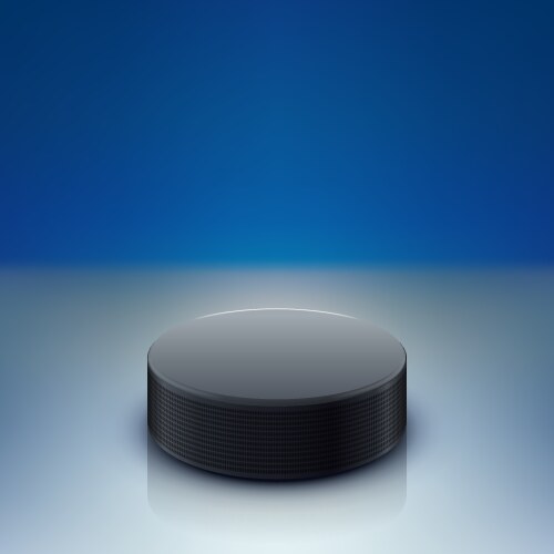 Realistic black puck Royalty Free Vector Image