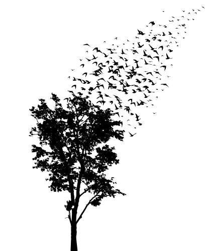 Tree silhouette and flying birds hand drawing Vector Image