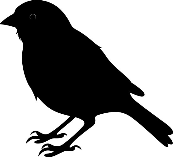 Finch silhouette white background Royalty Free Vector Image
