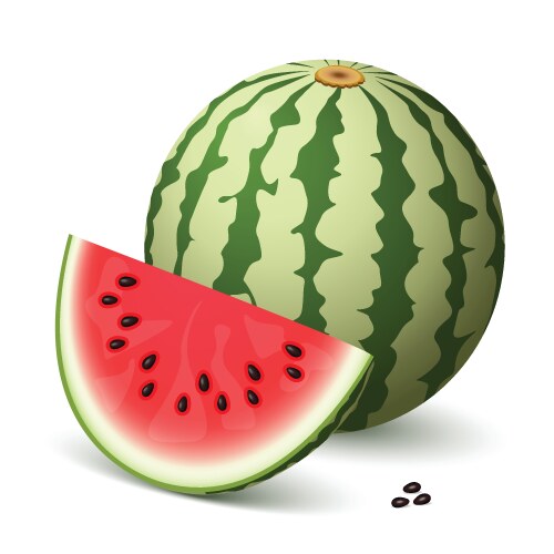 Watermelon Vector Images (over 77,000)