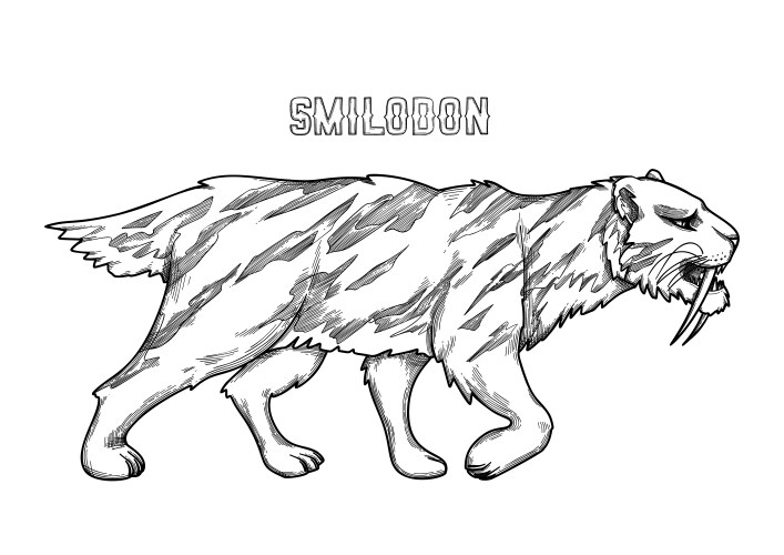 Saber toothed cat logo Royalty Free Vector Image