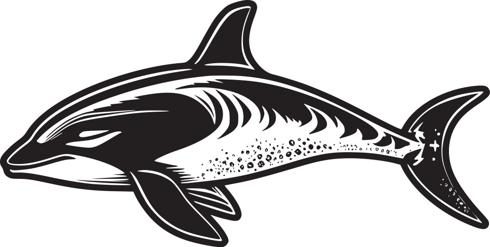 Orca Whale Vector Images (over 3,100)