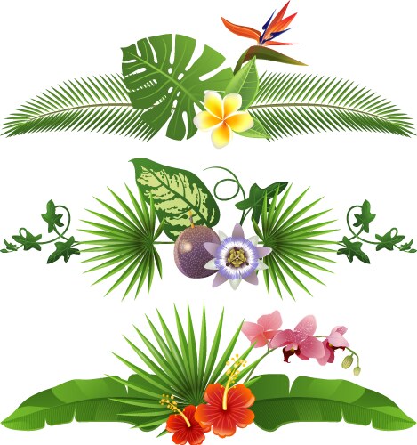 Tropical Vector Images (over 830,000)
