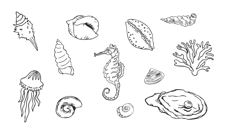 Sea shell sketch ocean life hand drawn Royalty Free Vector