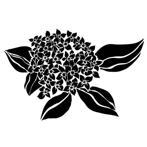 Hydrangea Icon Vector Images (über 2,600)