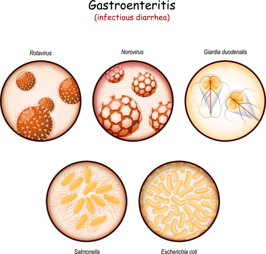 Diarrhea Poster Vector Images (over 300)