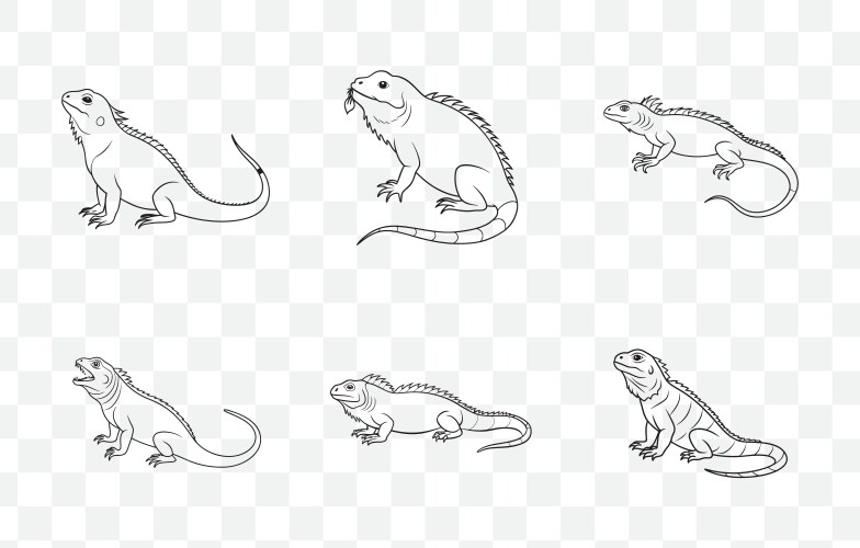 Iguana Vector Images (over 6,100)