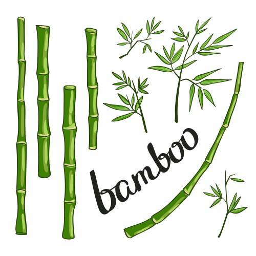 Bamboo Vector Images (over 44,000)
