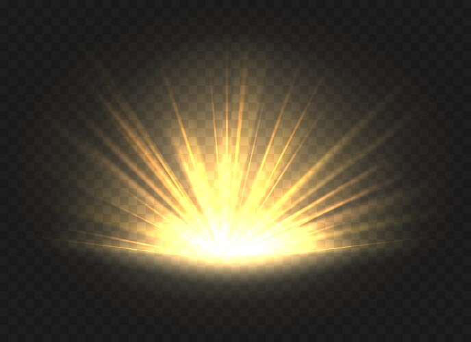 Shining star on black background golden color Vector Image