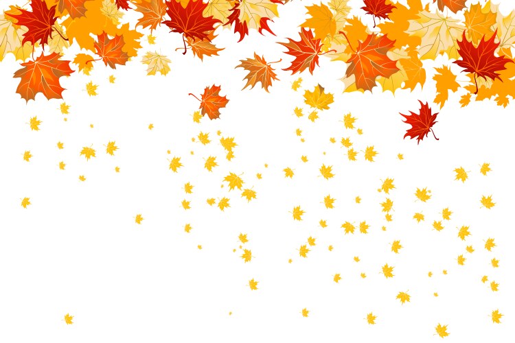 Fall Leaves Vector Images (over 90,000)