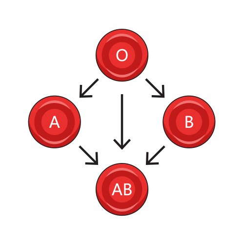 Hemoglobin molecular structure diagram medical Vector Image
