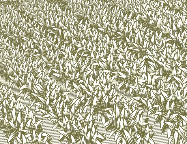 Crop Rows Vector Images (over 590)