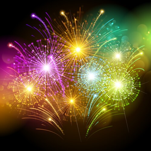 Colorful fireworks display celebration night sky Vector Image