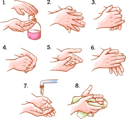 Hand washing instructions black and white Vector Image