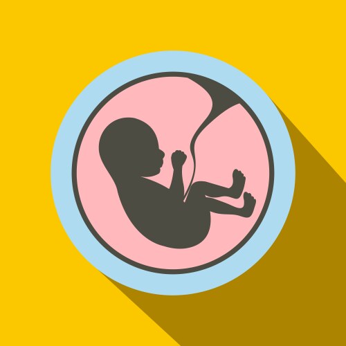 Baby in Womb Vector Images (over 2,200)