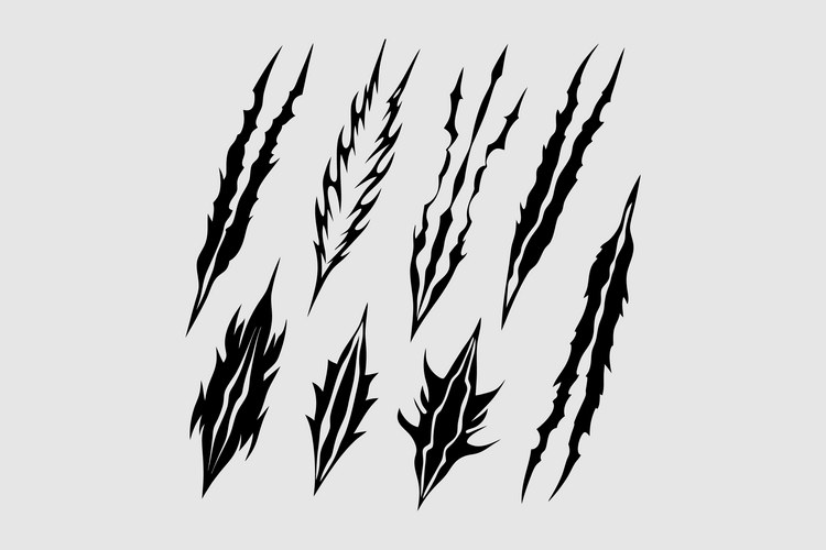 Slash-marks Vektorgrafiken und bilder für gewerbliche Nutzung | VectorStock