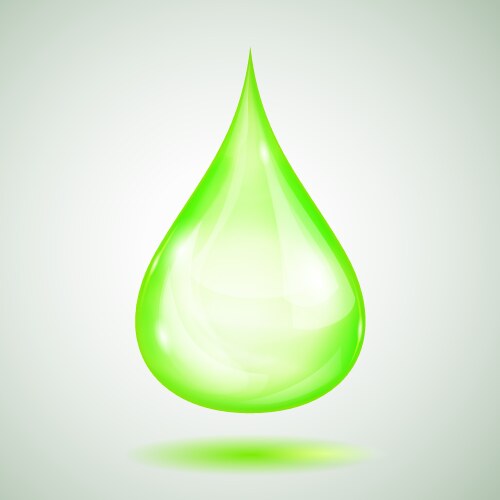 Green drop Royalty Free Vector Image - VectorStock