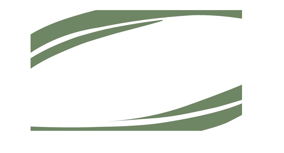 Abstract background with watercress colors Vector Image