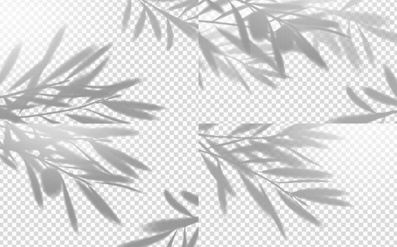 Tree Shadow Vector Images (over 27,000)