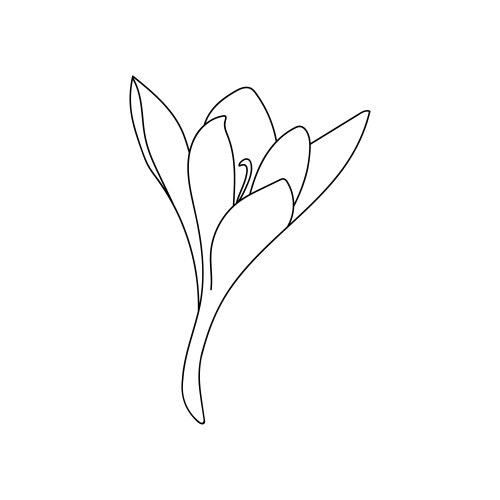 Crocus Tattoo Flower Vector Images (80)