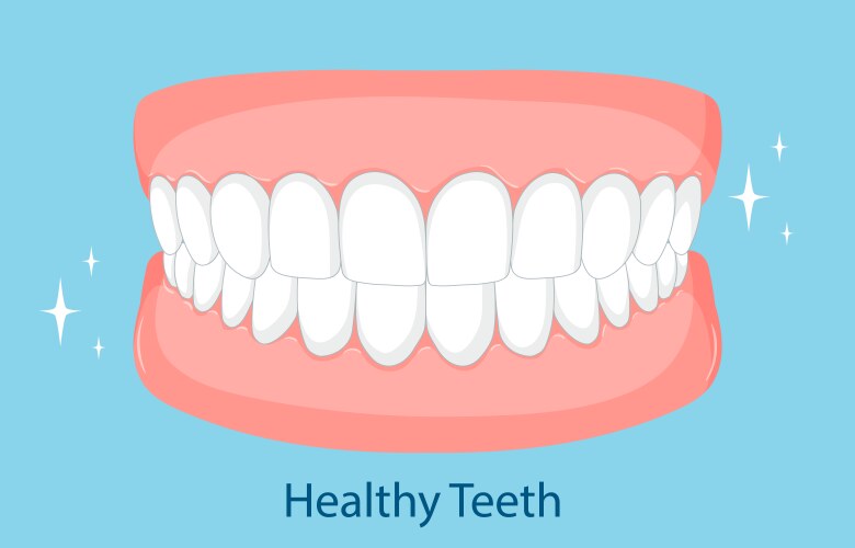 Smile with Sparkle on Teeth Vector Images (over 500)