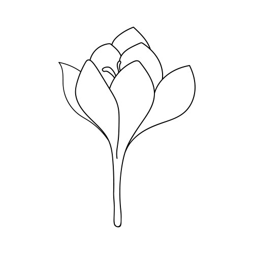 Crocus Tattoo Flower Vector Images (80)