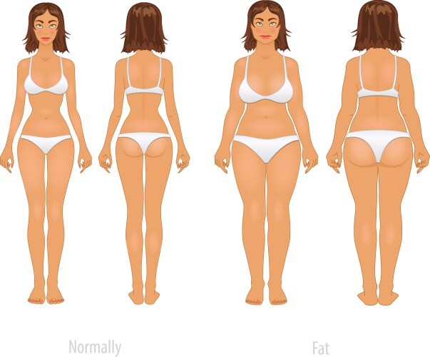 Bodypositive Female Body Types Royalty Free Vector Image