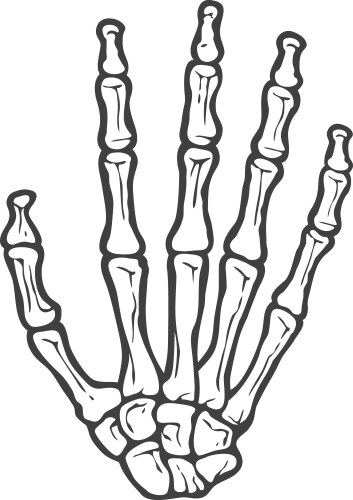 Skeleton hand with four aces Royalty Free Vector Image
