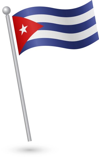 Simple flag isolated Royalty Free Vector Image